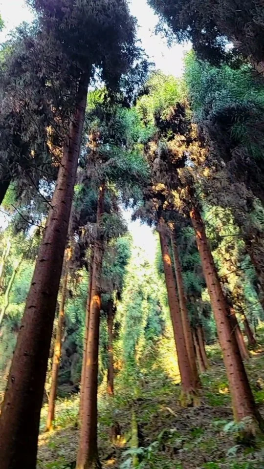 Nathan Porteous - My Story