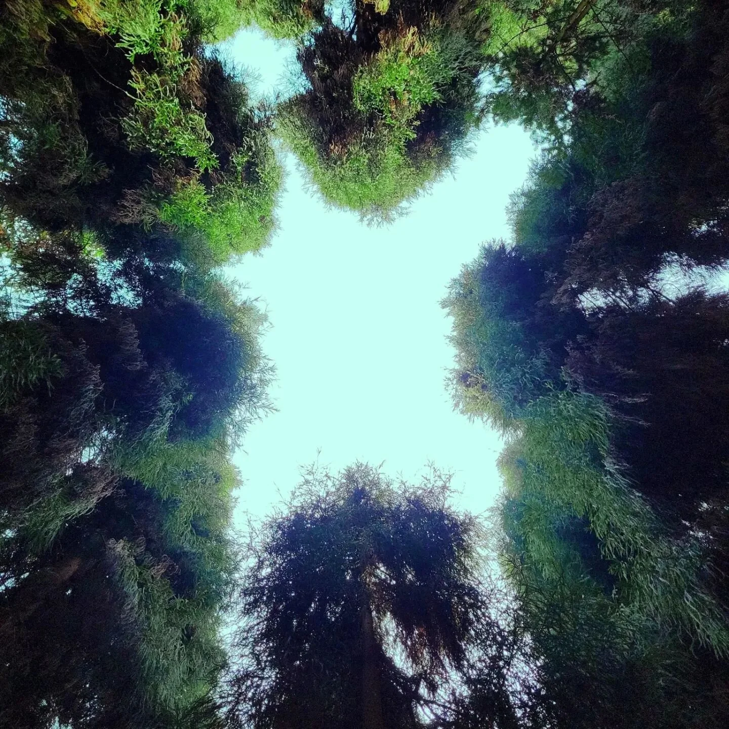 Nathan Porteous - My Story