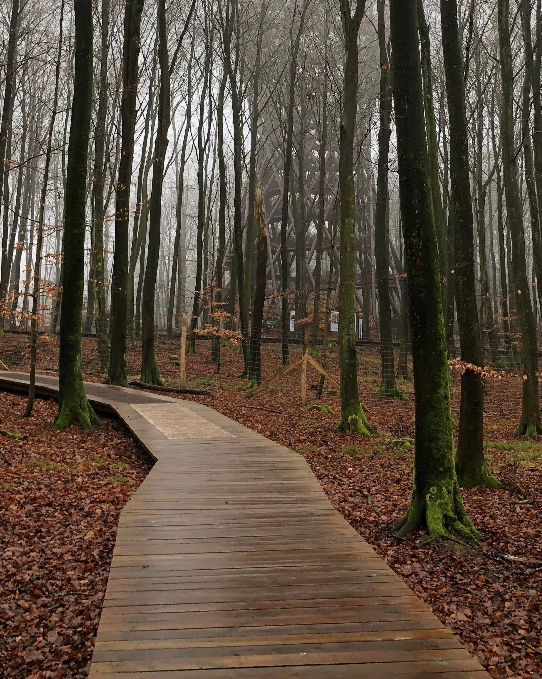 General 2 — Kiri Parr Consulting