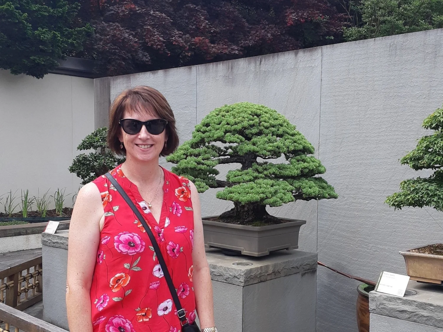 About the NZBA—New Zealand Bonsai Association — New Zealand Bonsai ...