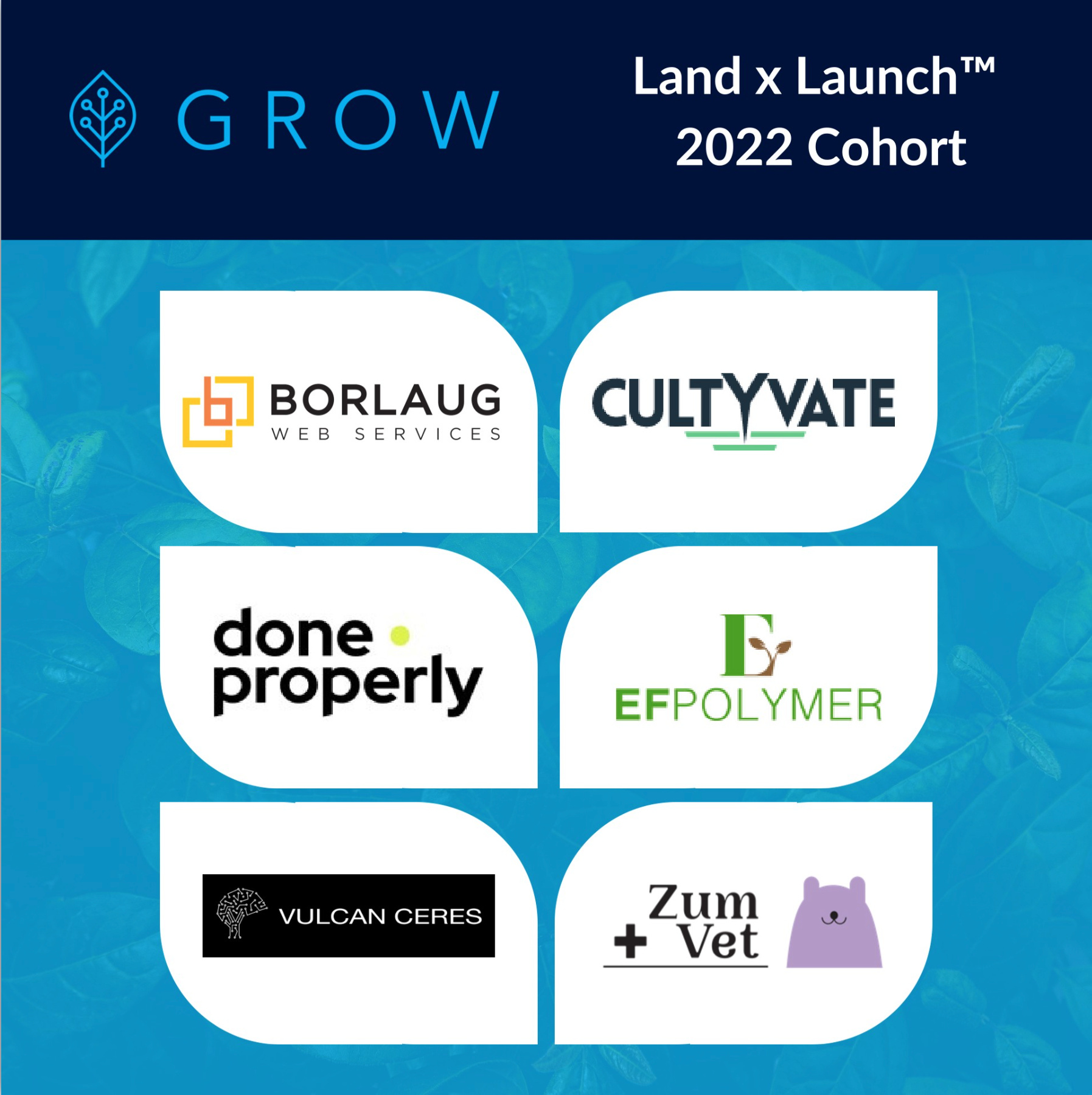 Borlaug Web Services, Blockchain SaaS for traceability & transparency ...