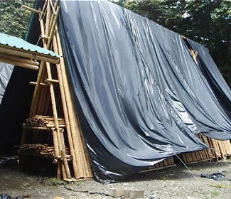 Drying Bamboo Poles — Guadua Bamboo