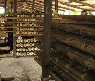 Drying Bamboo Poles — Guadua Bamboo