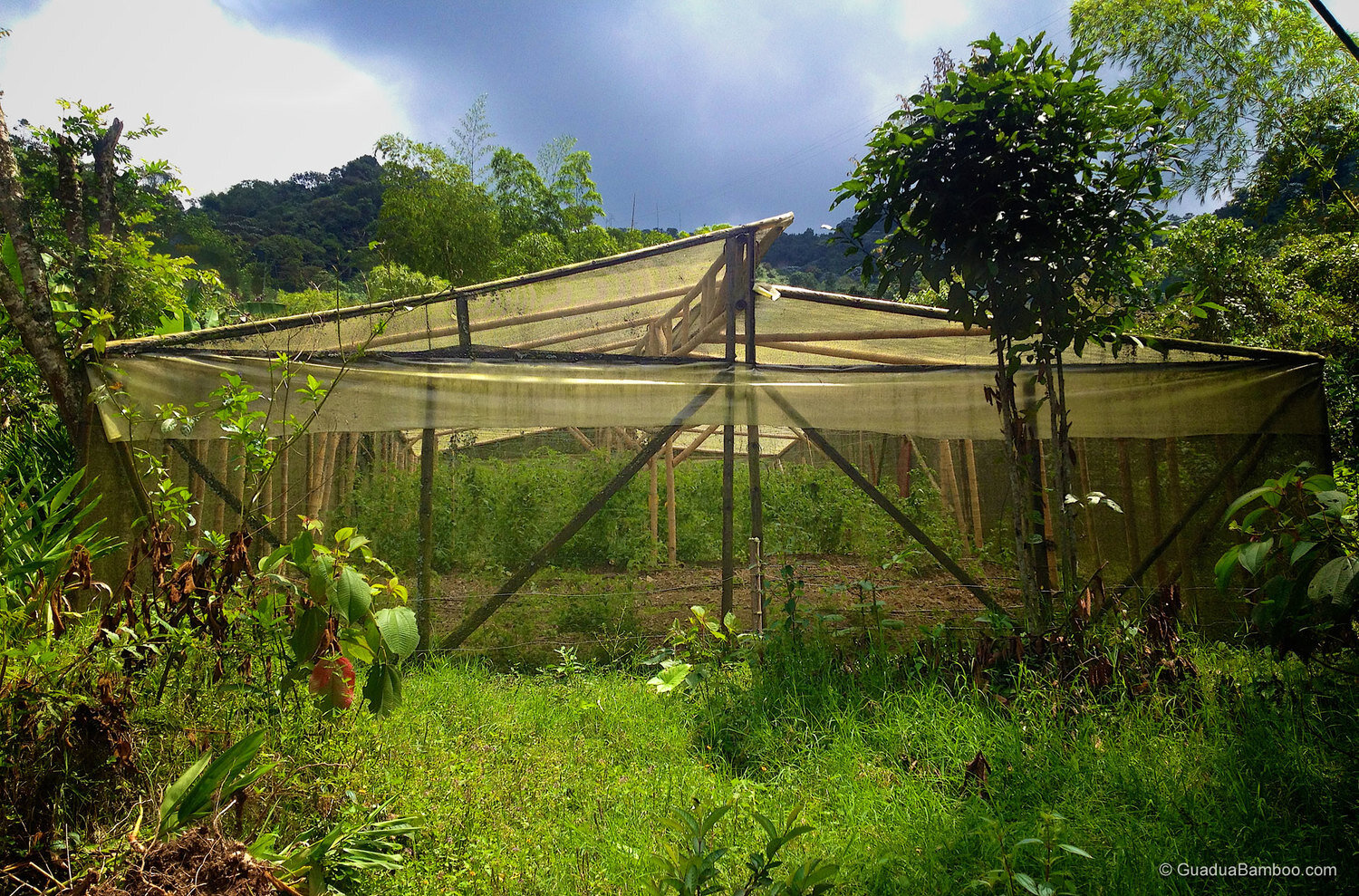 Bamboo Textiles And Fabrics: What You Need To Know Before Buying