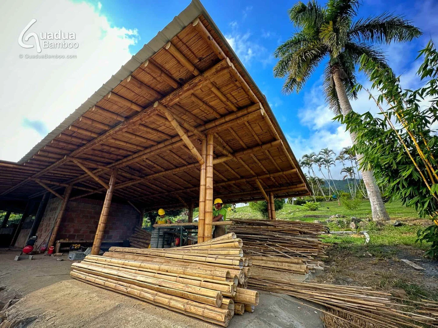 Guadua Bamboo - Experts in the World's Strongest Bamboo