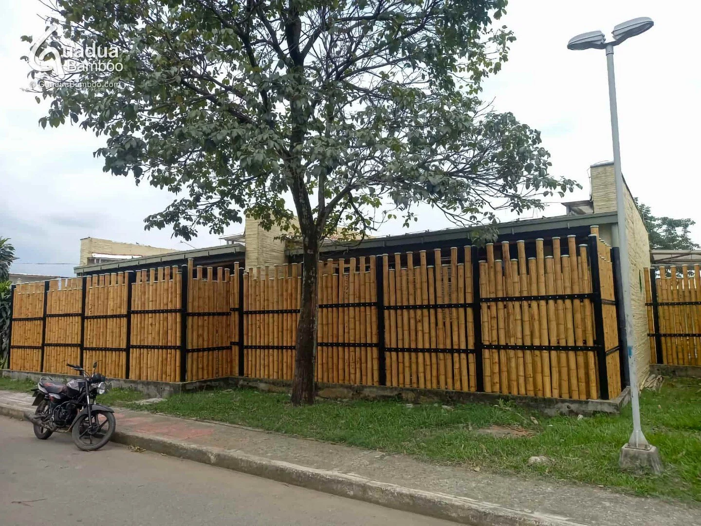 Guadua Bamboo - Experts in the World's Strongest Bamboo