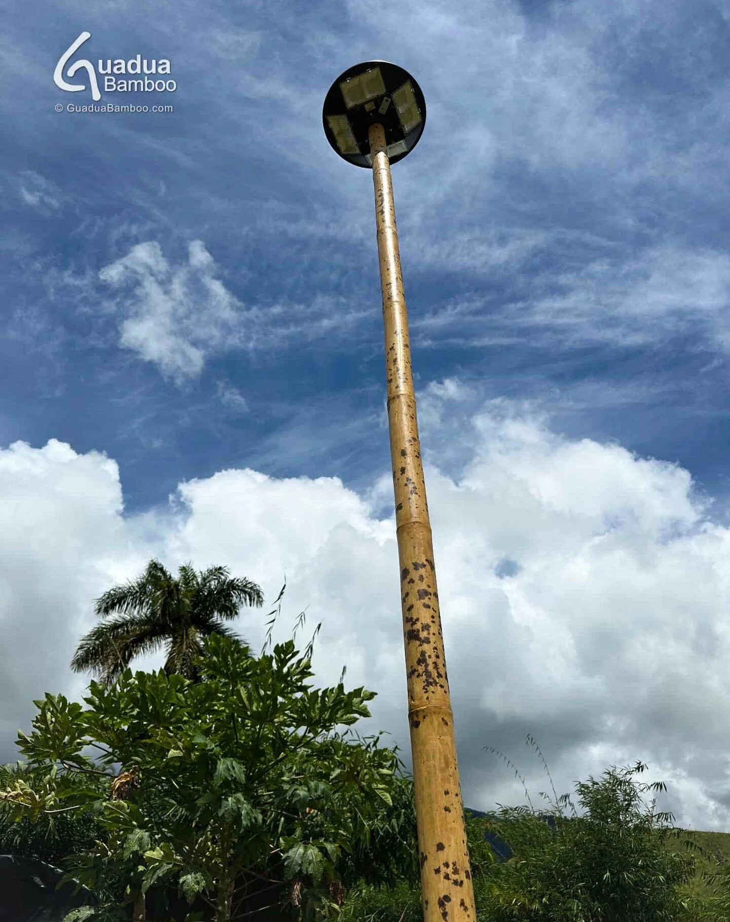 Guadua Bamboo - Experts in the World's Strongest Bamboo