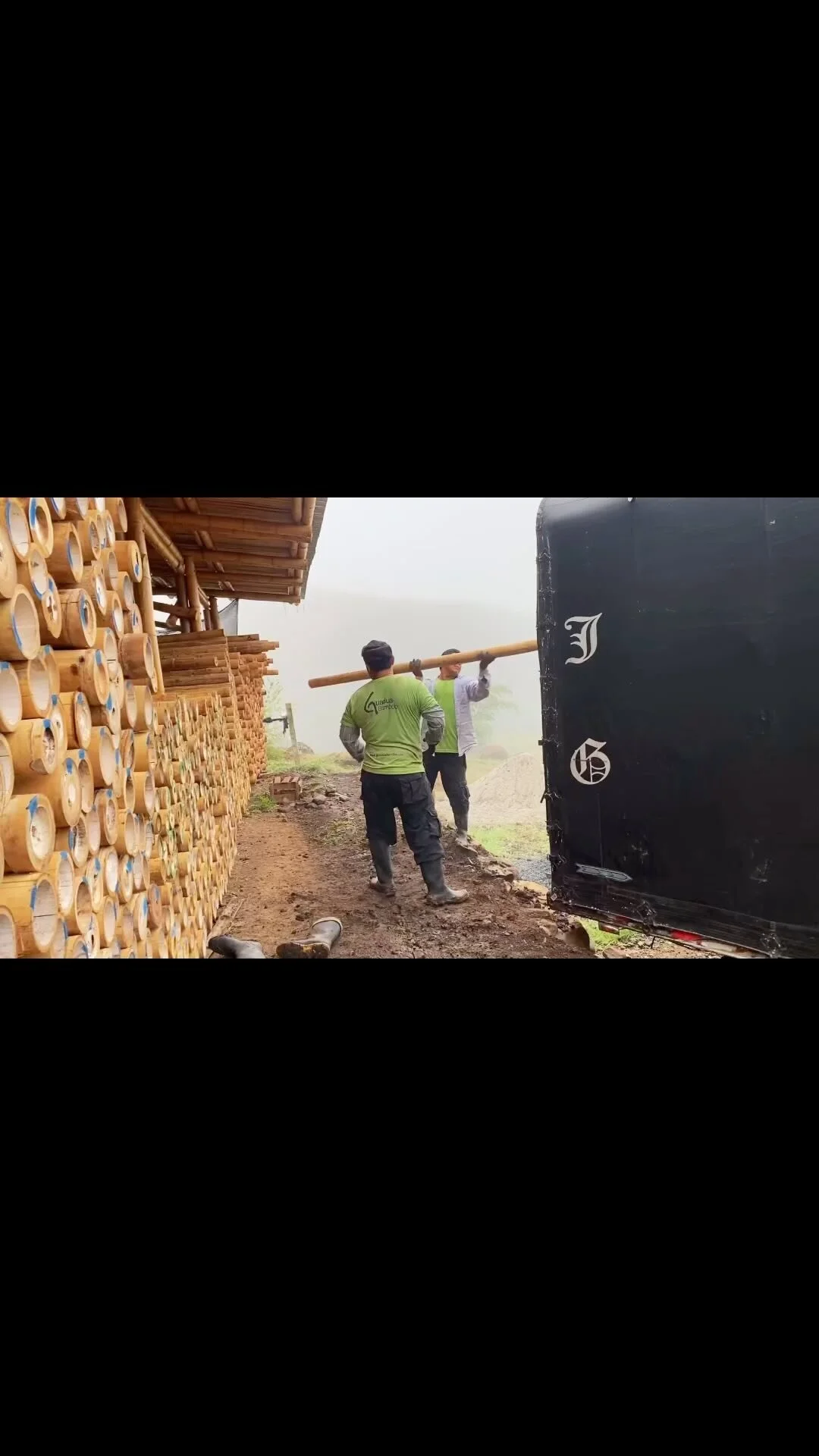 Guadua Bamboo - Experts in the World's Strongest Bamboo
