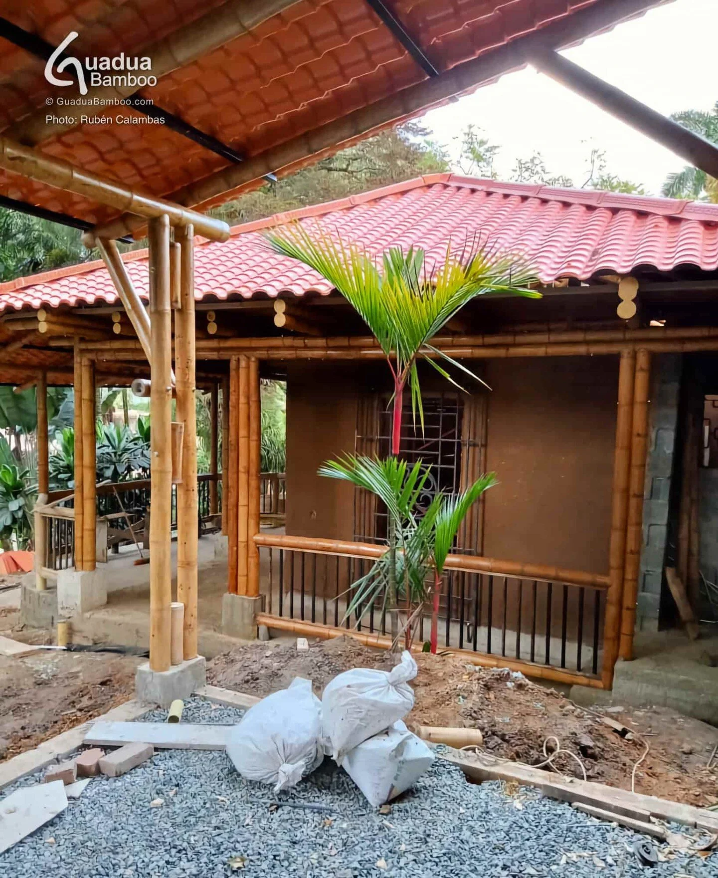 Guadua Bamboo - Experts in the World's Strongest Bamboo