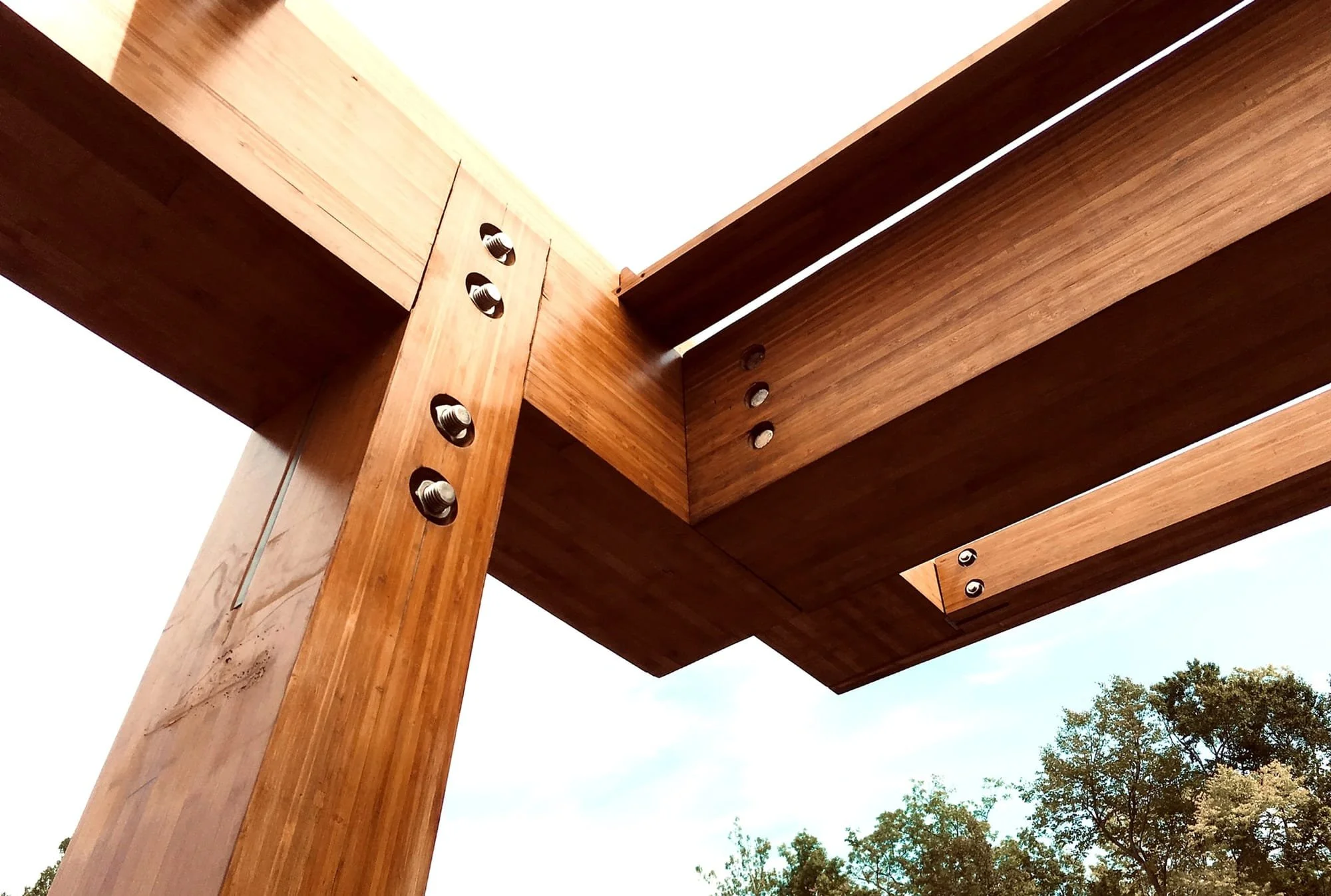 The 40 Best Bamboo Species for Commercial Farming