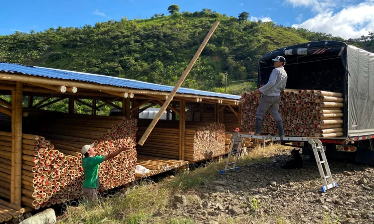 Guadua Bamboo - Experts in the World's Strongest Bamboo