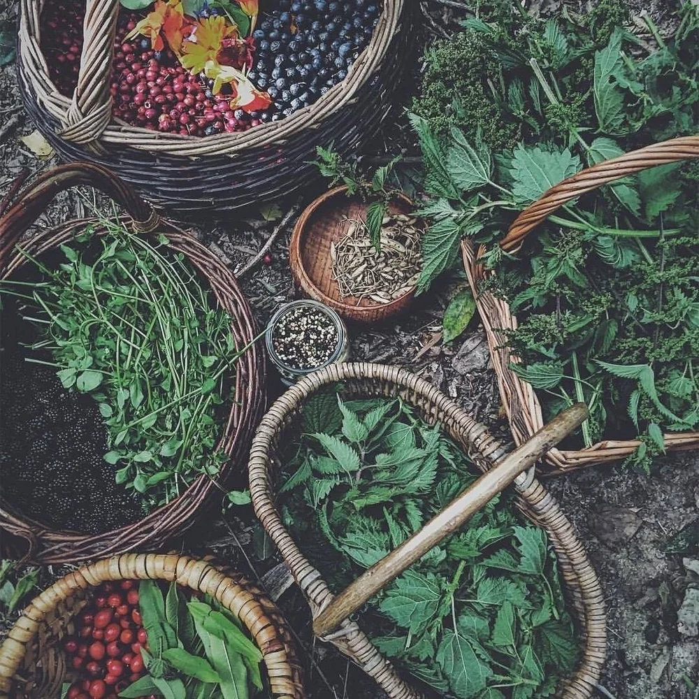 Sacred Seeds Herbal Project