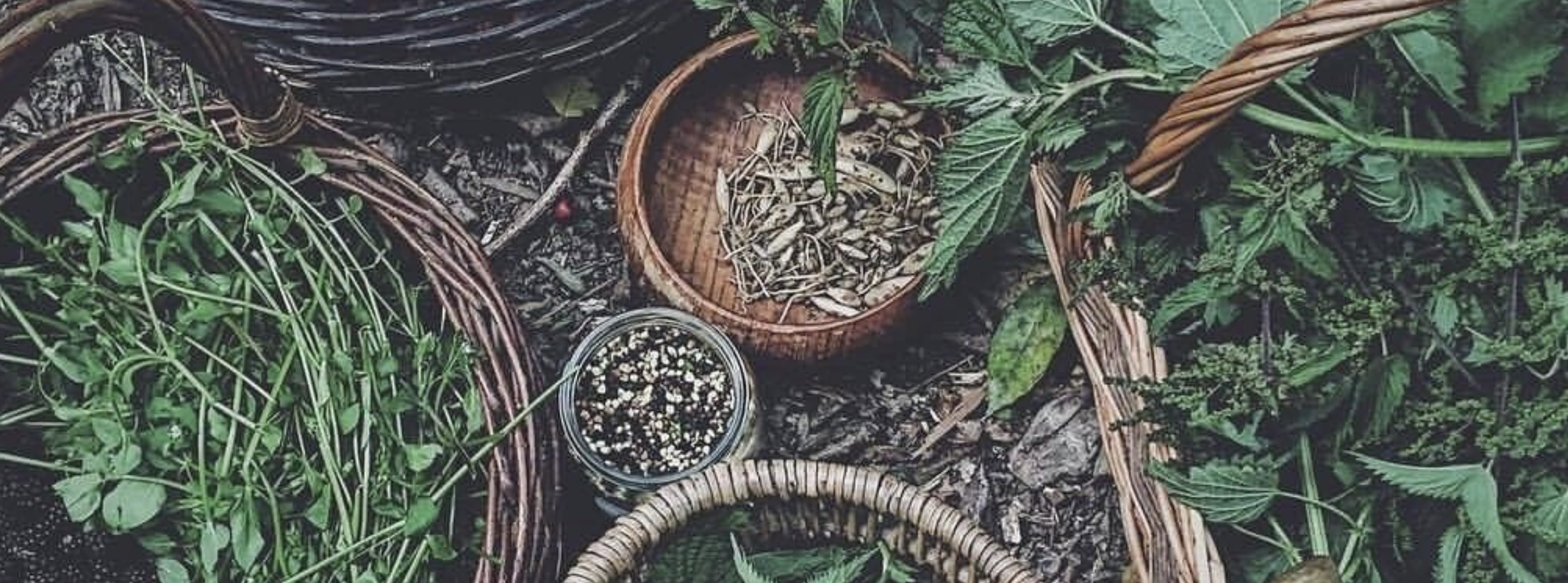 Sacred Seeds Herbal Project