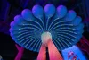 MODERN GURU AND THE PATH TO ARTIFICIAL HAPPINESS – Ticketed interactive ...