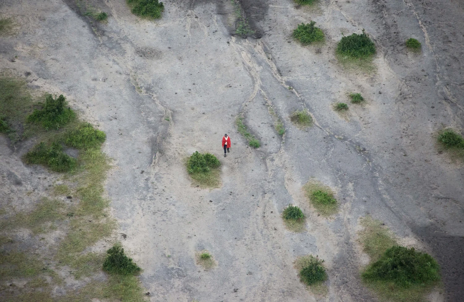 Trolltech Foundation