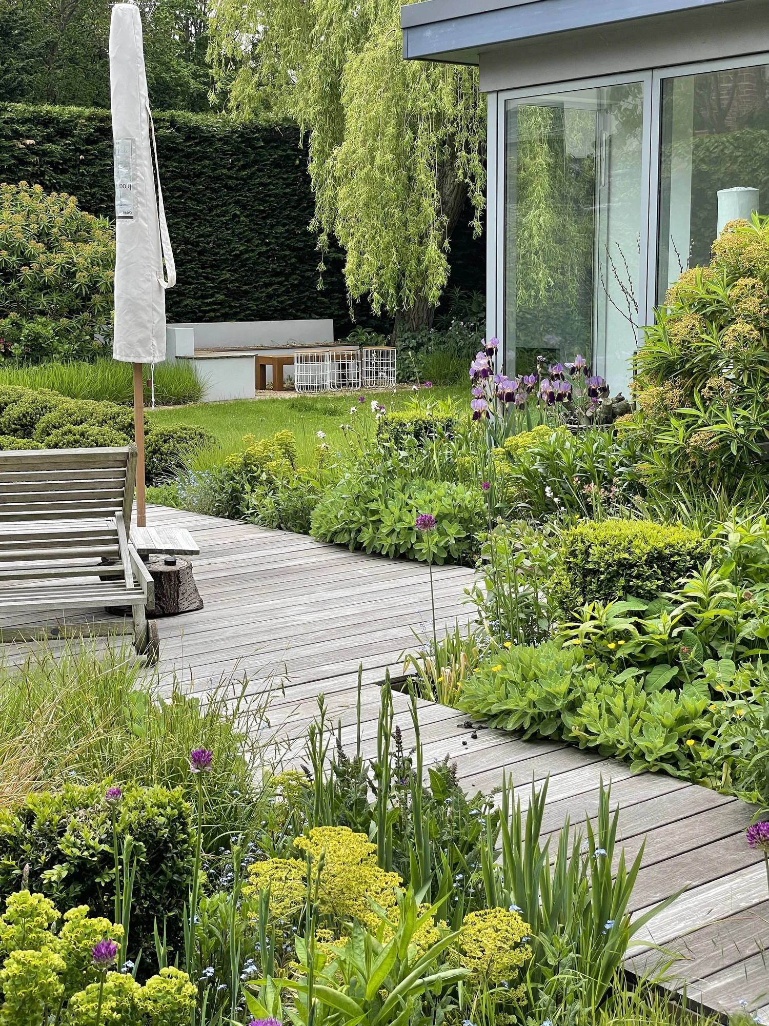Putney Heath — Lucy Willcox Garden Design