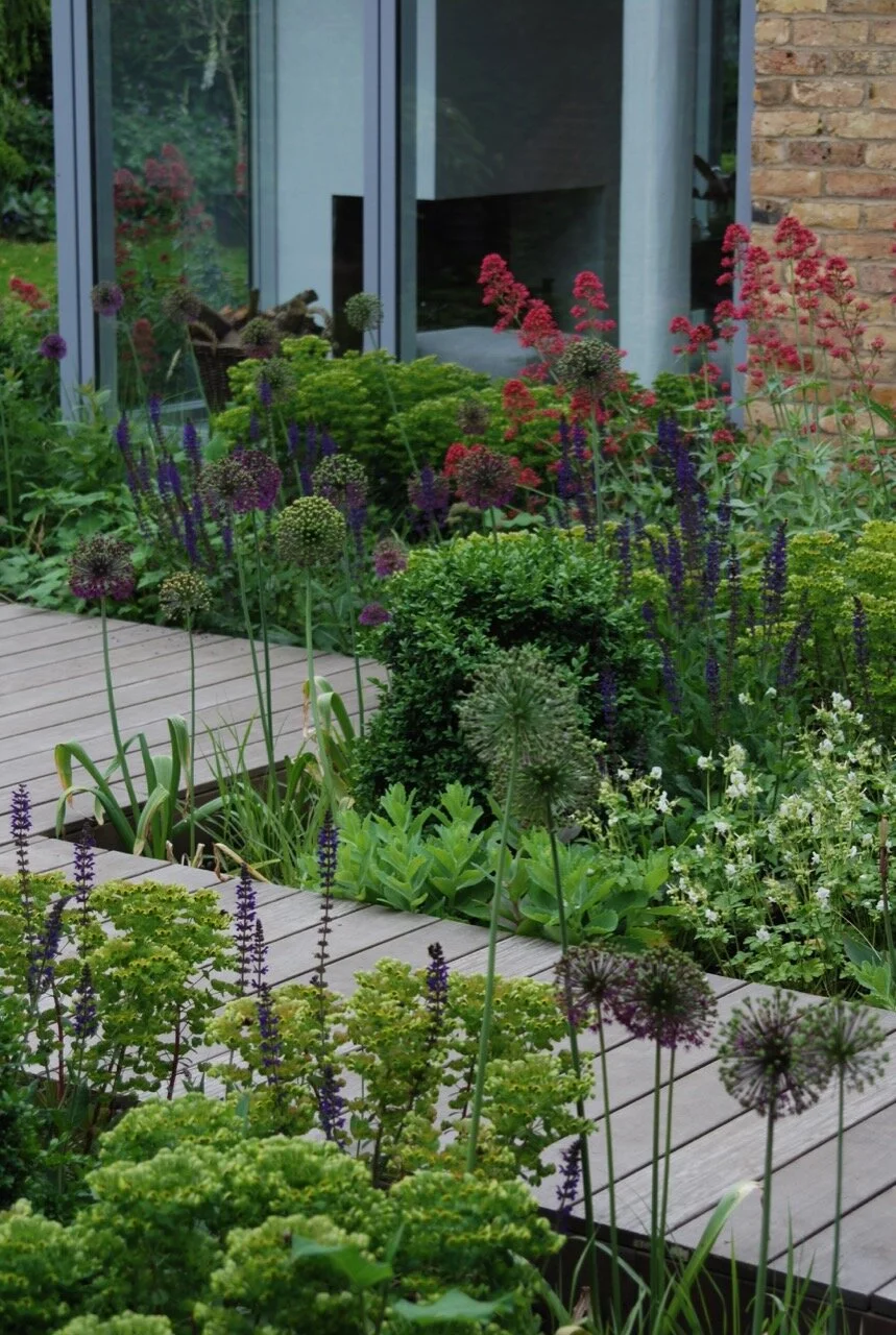 Putney Heath — Lucy Willcox Garden Design
