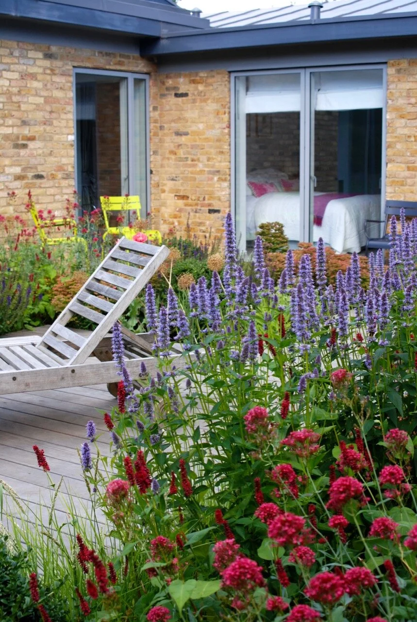 Putney Heath — Lucy Willcox Garden Design