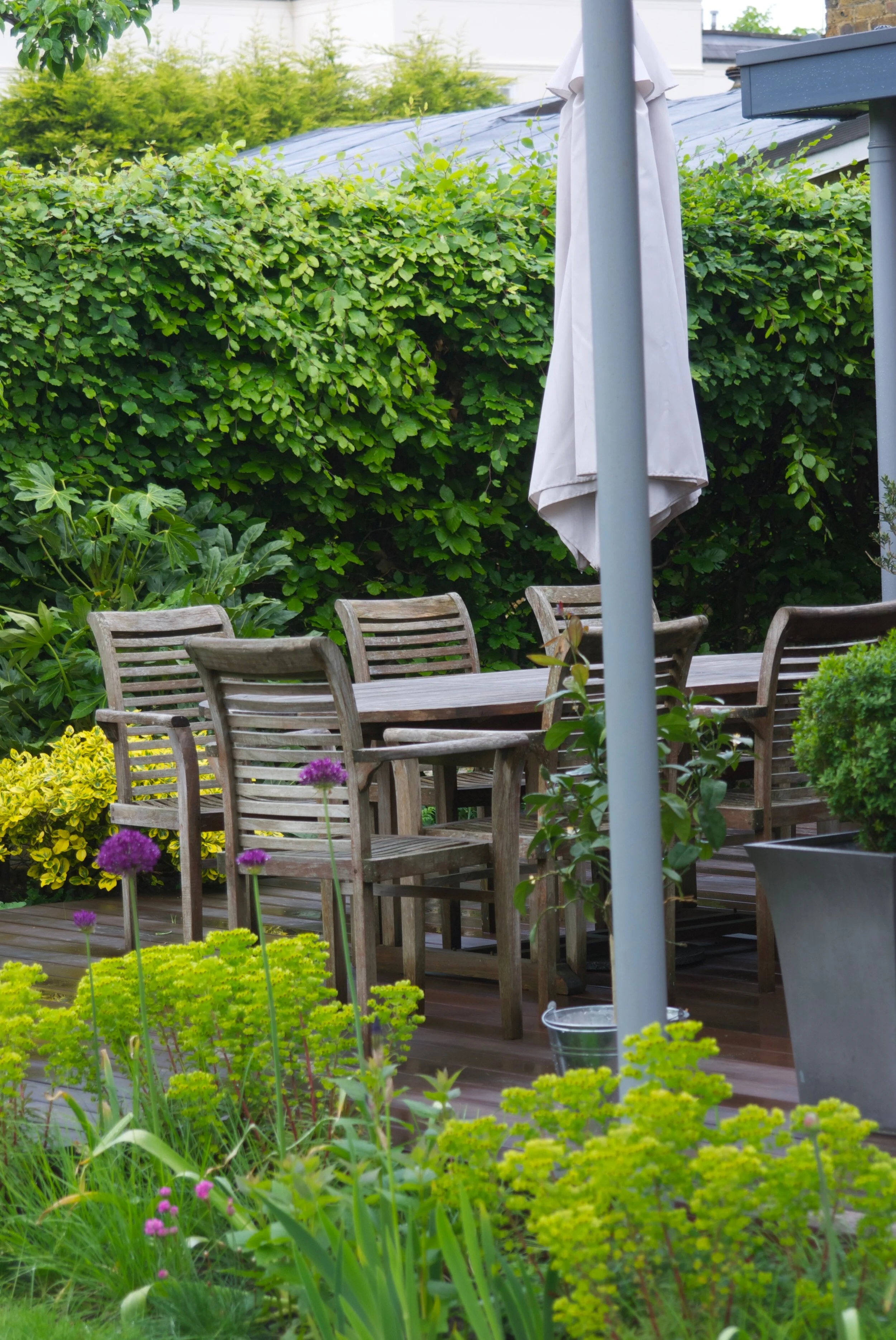 Putney Heath — Lucy Willcox Garden Design