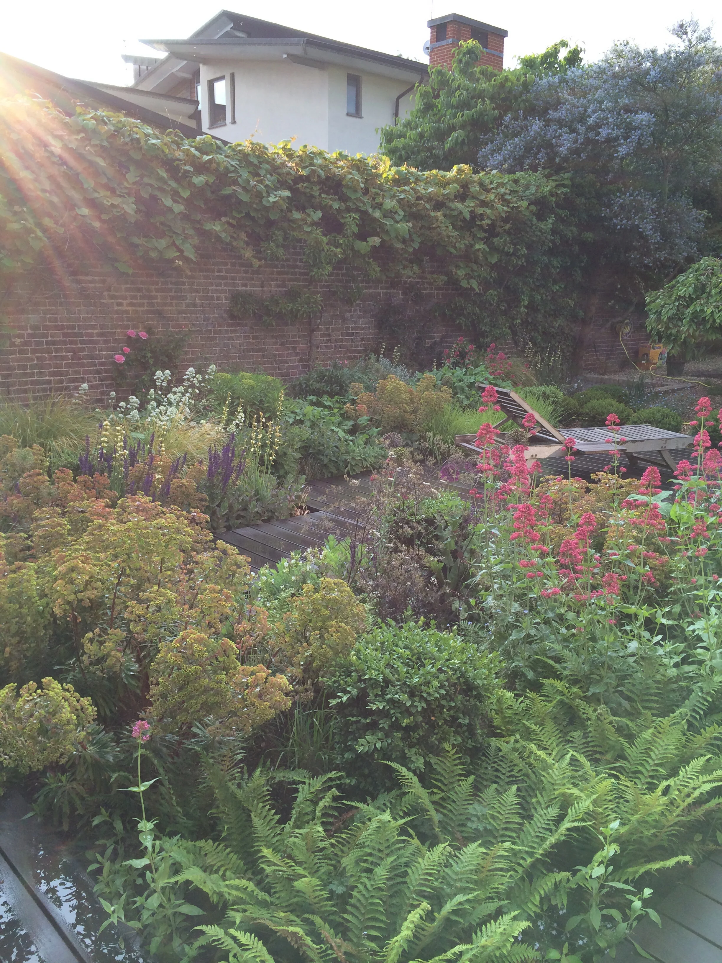 Putney Heath — Lucy Willcox Garden Design