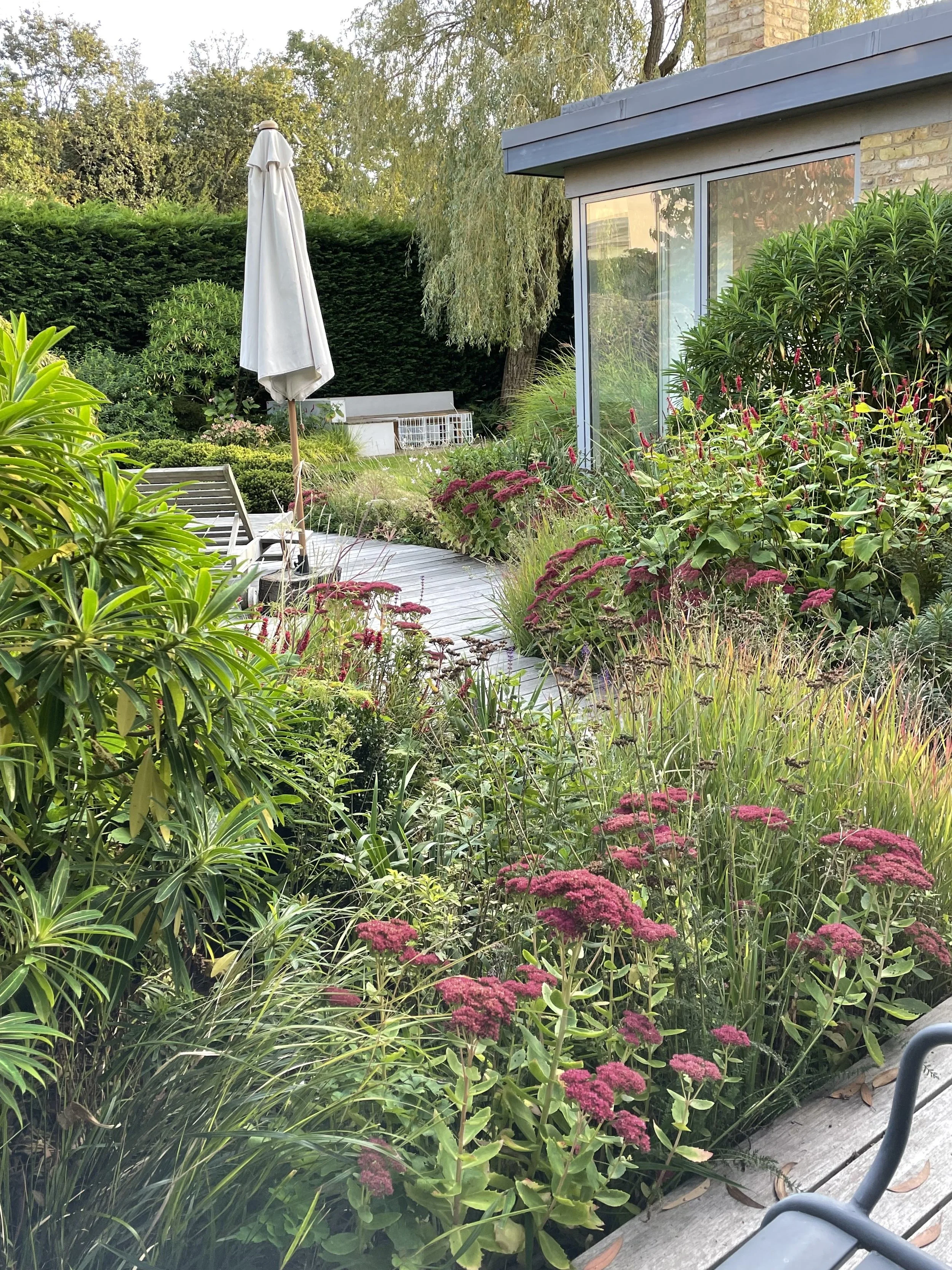 Putney Heath — Lucy Willcox Garden Design