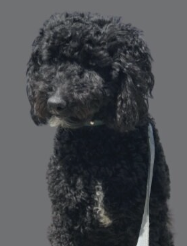 MindWell Psychology Ithaca, NY — MindWell Psychology - Evidence Based ...