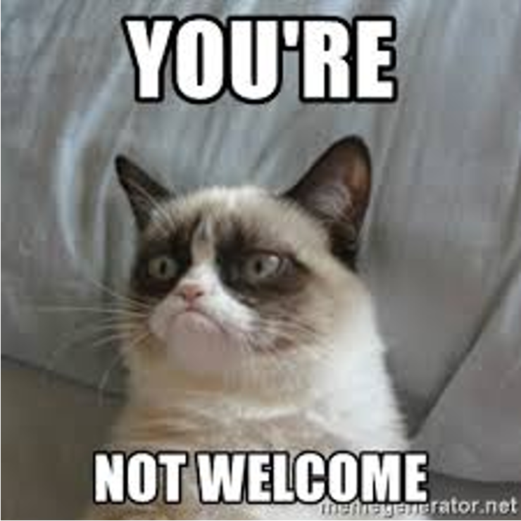 Grumpy Cat Youre Welcome