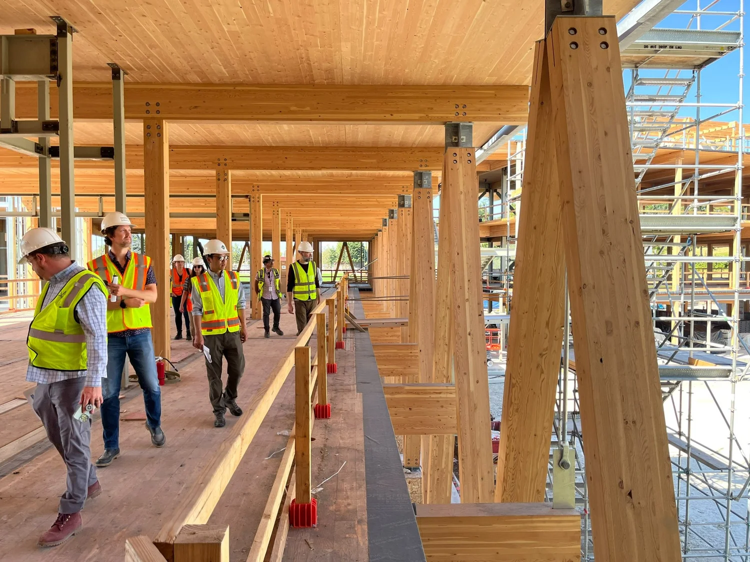 Investment in Mass Timber is an Investment in the Future — Bassetti ...