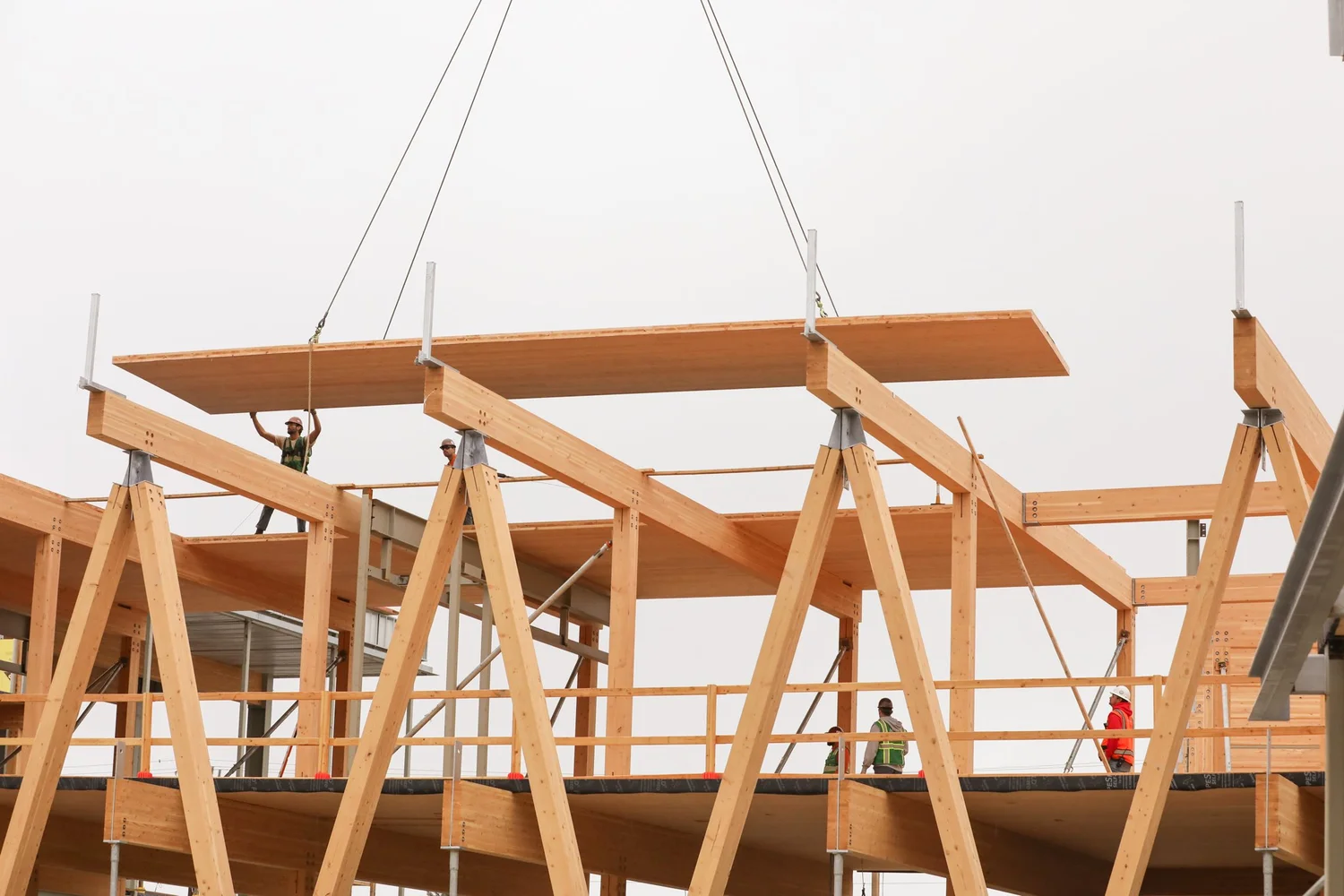 Investment in Mass Timber is an Investment in the Future — Bassetti ...