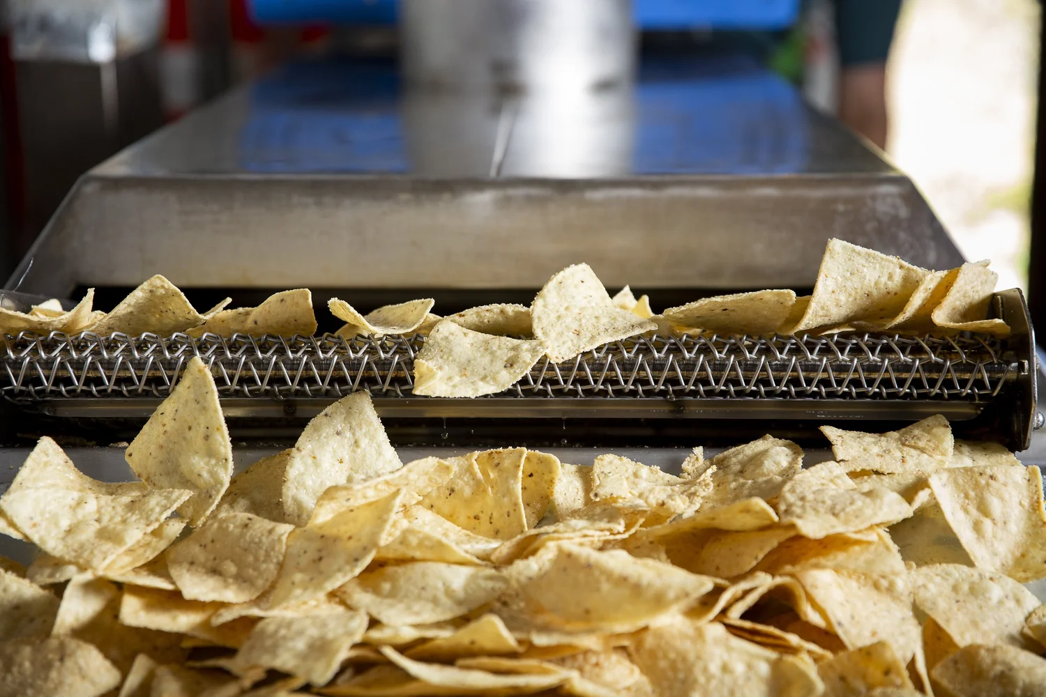 Zia Tortilla Factory — Kelly Miranda Photography
