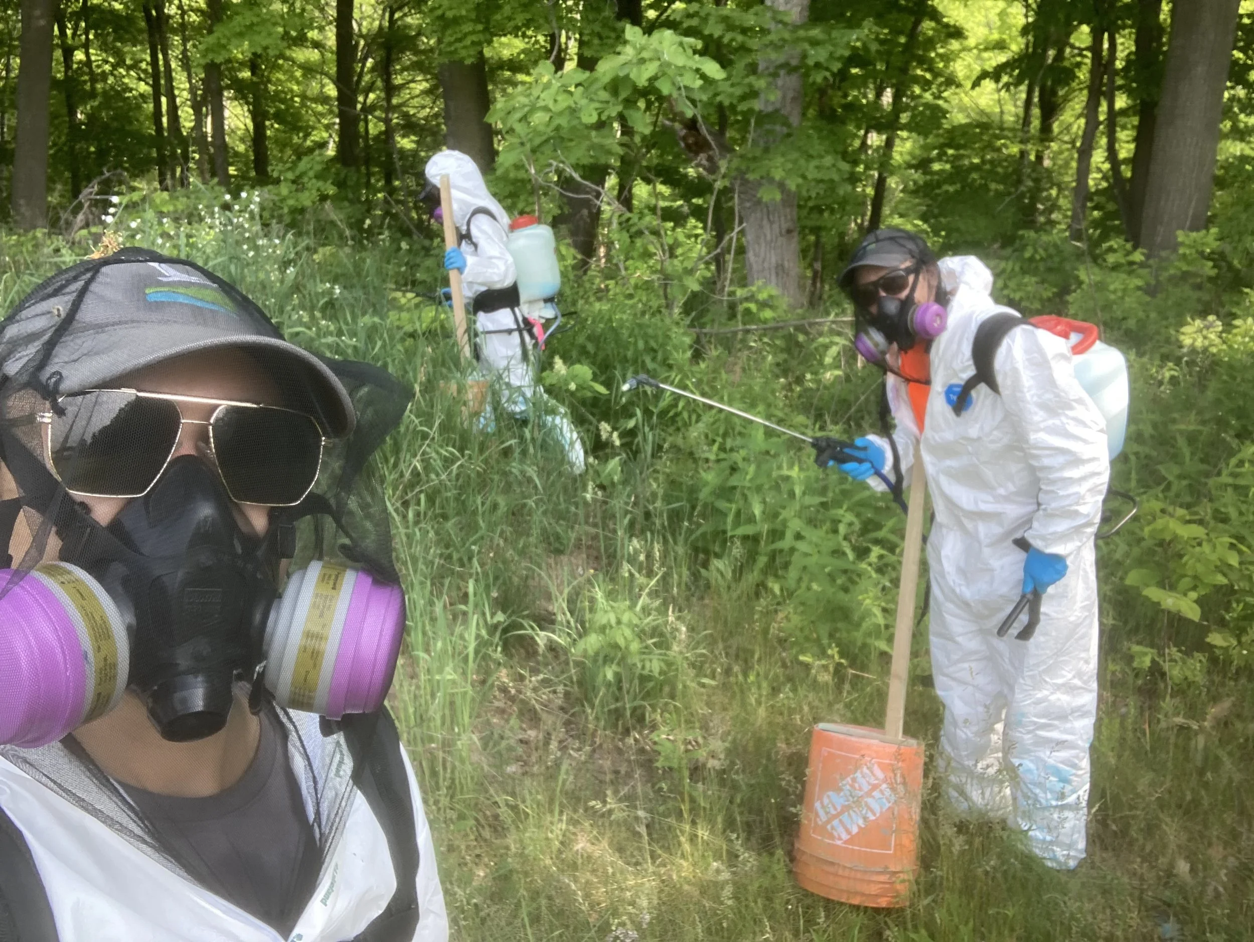 Invasive Species Inventory and Management, and Tree Planting with ...