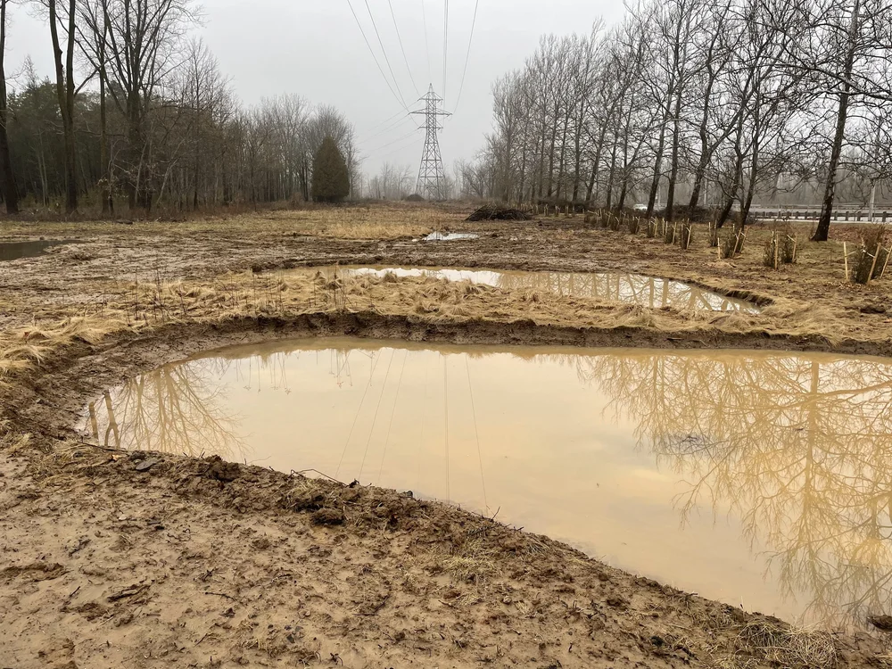 New Cootes Drive Vernal Pools Create Critical Habitat for Wildlife ...