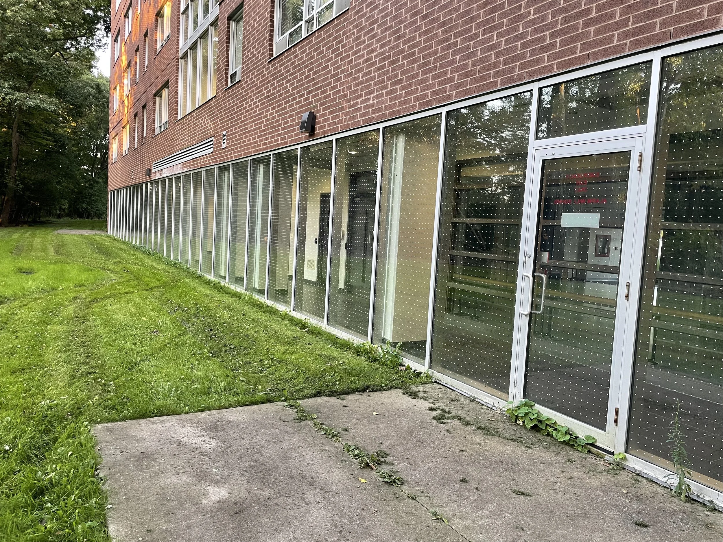 Bird Friendly Window Installations Help Reduce Bird Strikes at McMaster ...