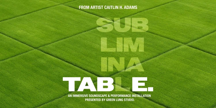 Subliminal Table By Artist Caitlin H Adams Green Lung Studio