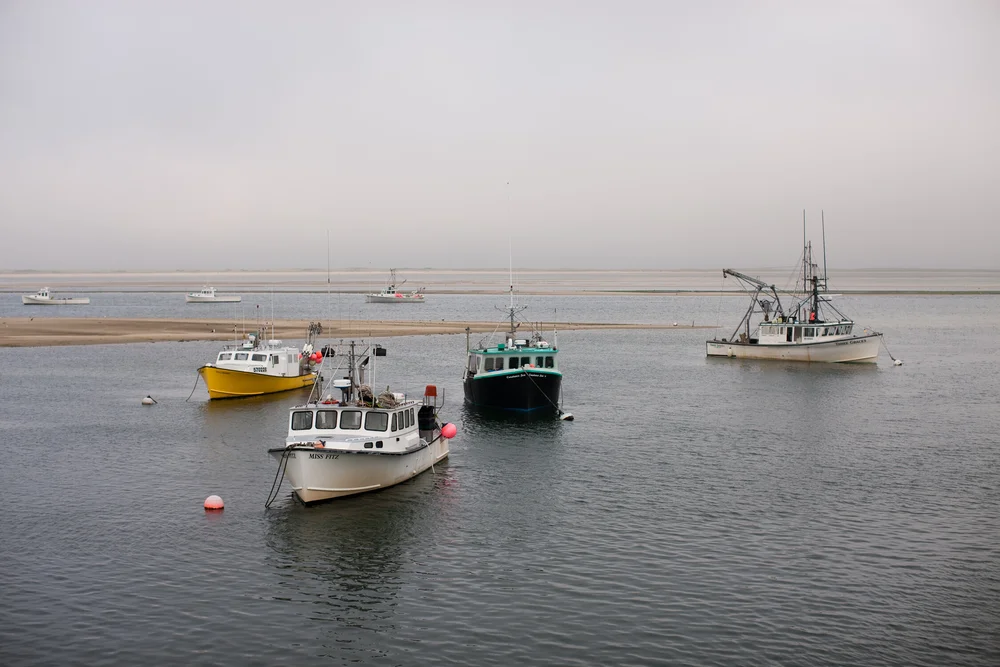 Location — Chatham Pier Fish Market