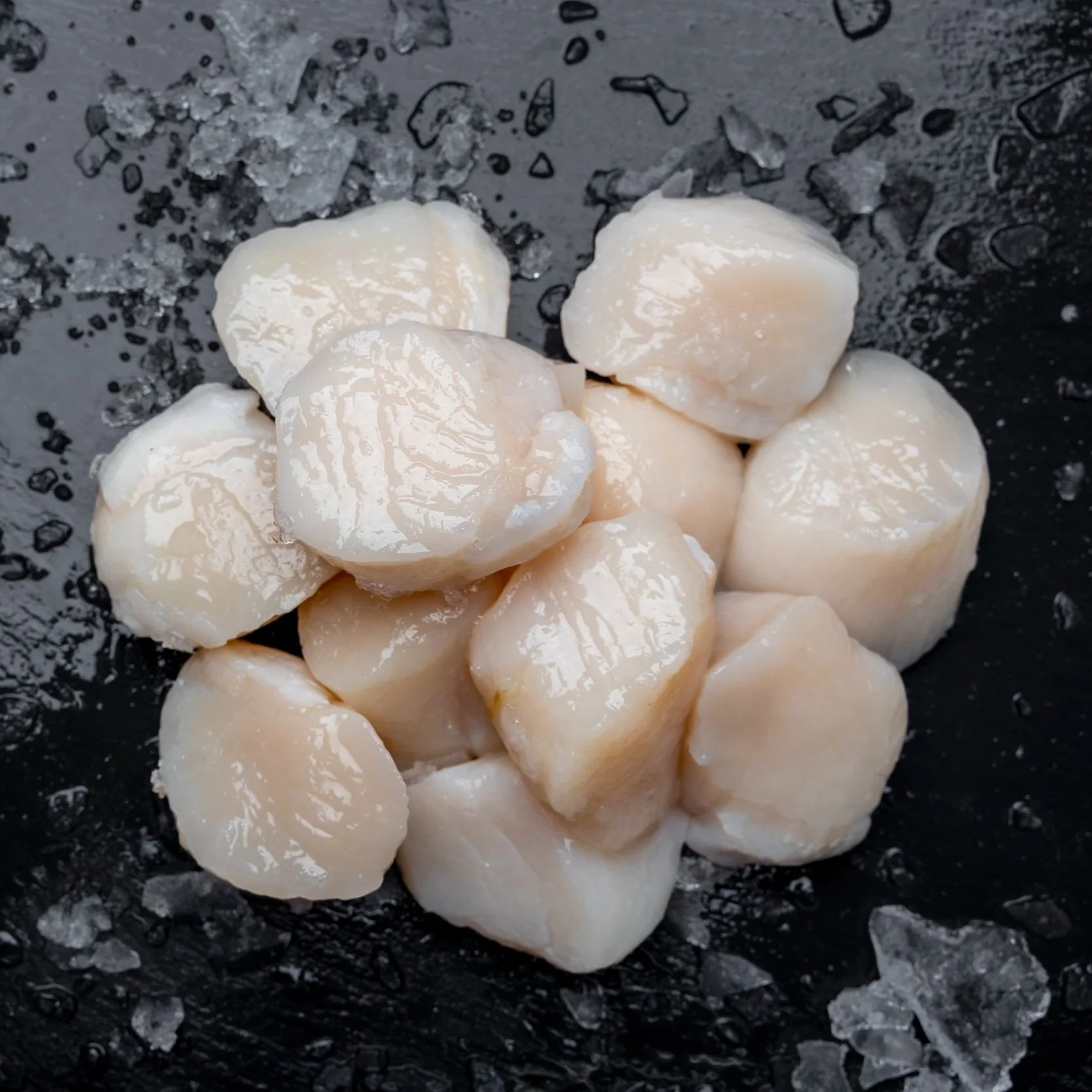 Fish Market — Chatham Pier Fish Market