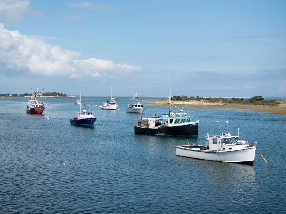 Chatham Pier Fish Market