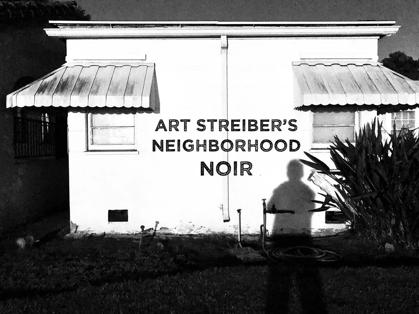 Issue 1: Art Streiber's "Neighborhood Noir" — Gigantic Magazine