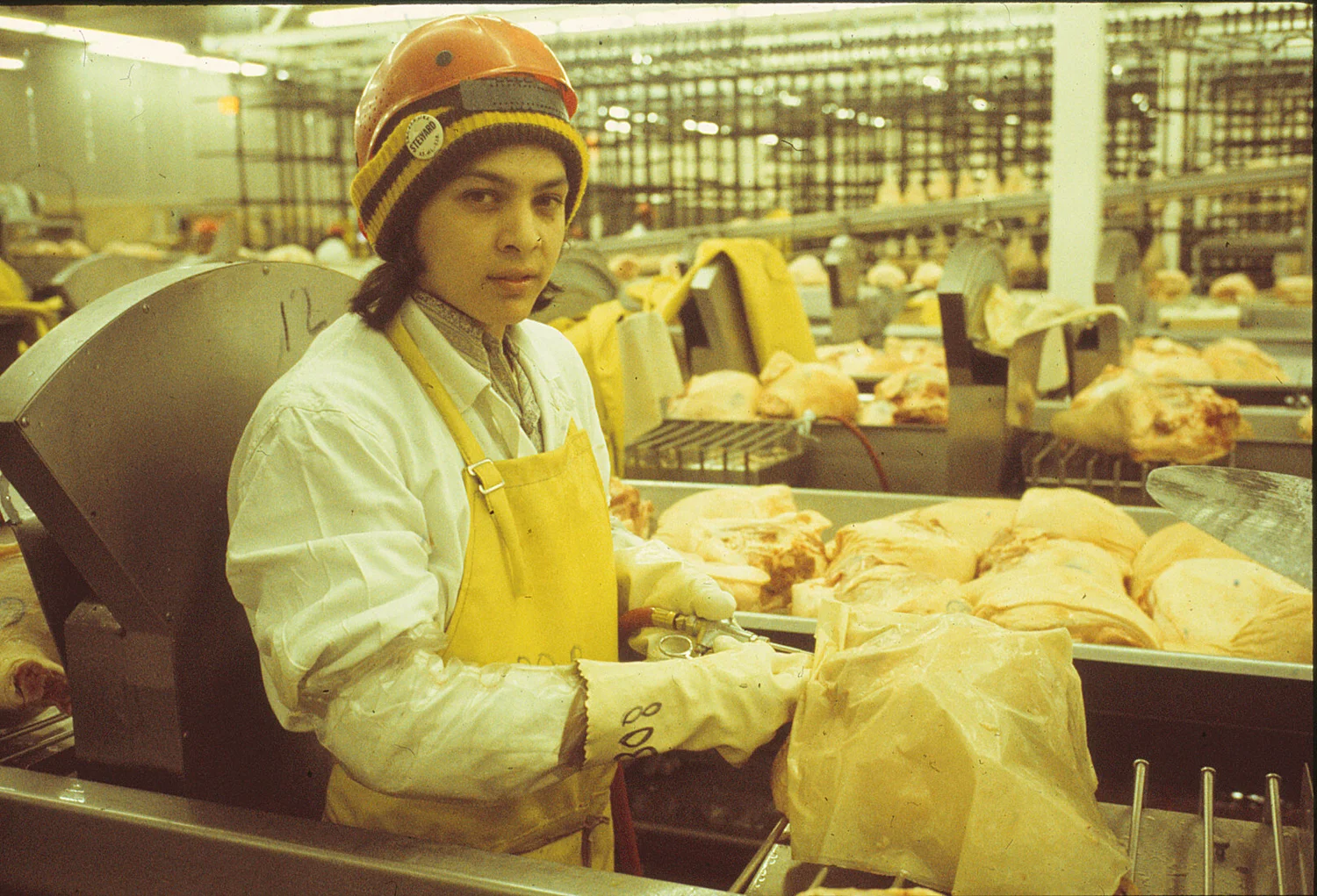 Exhibits — Packingtown Museum