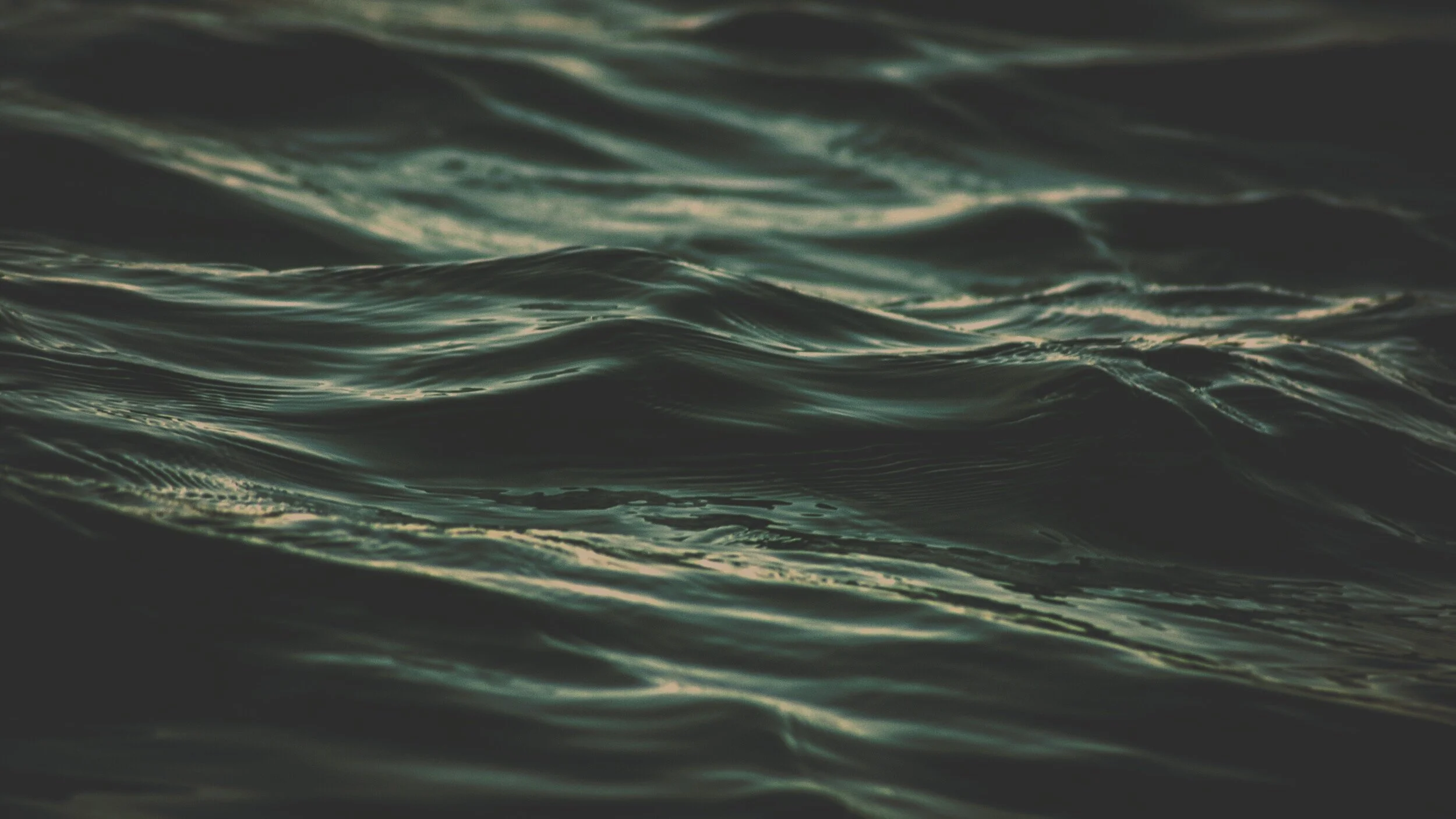 MEDIA — FELIX FREE