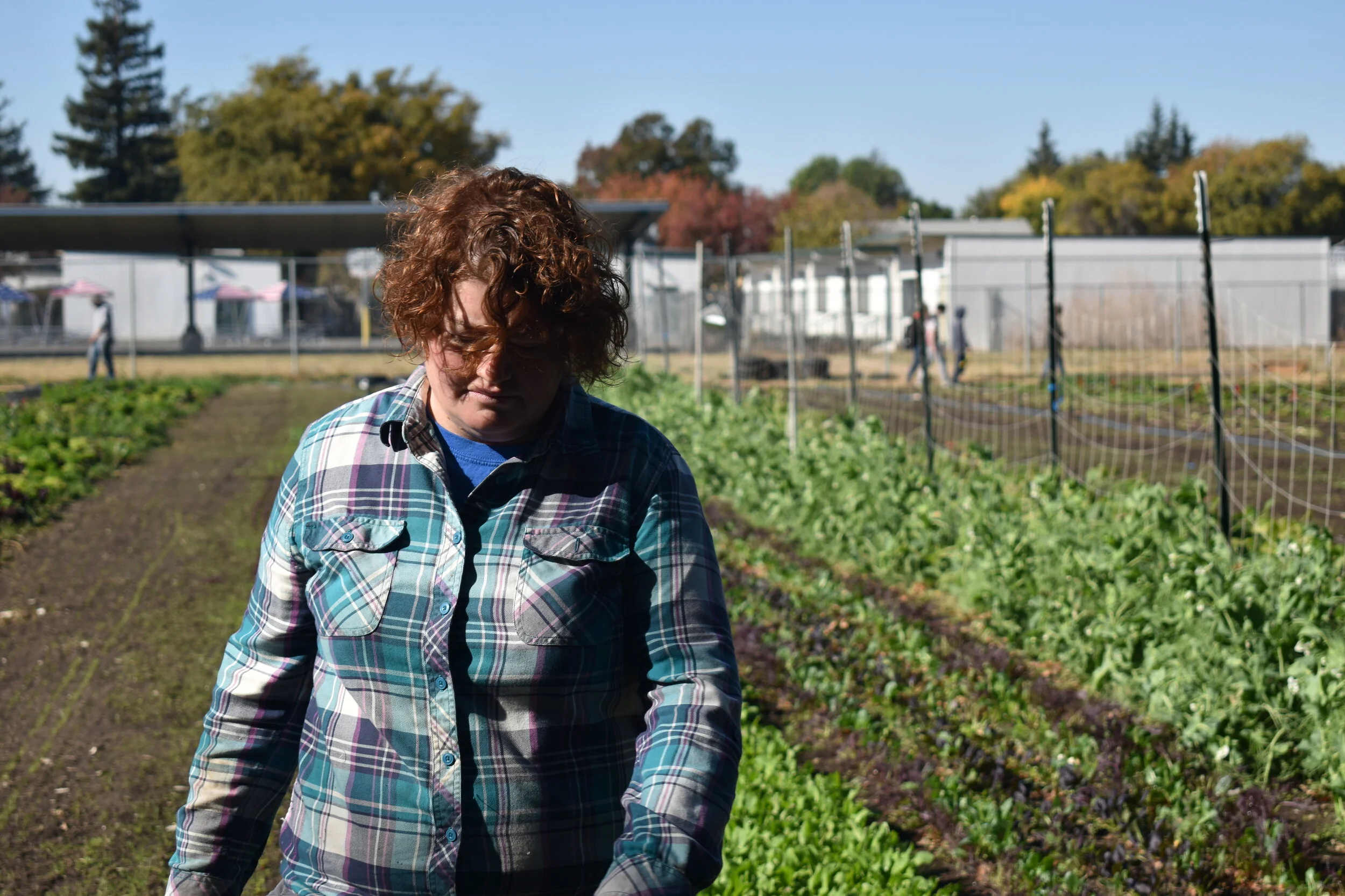 About Us — Fiery Ginger Farm