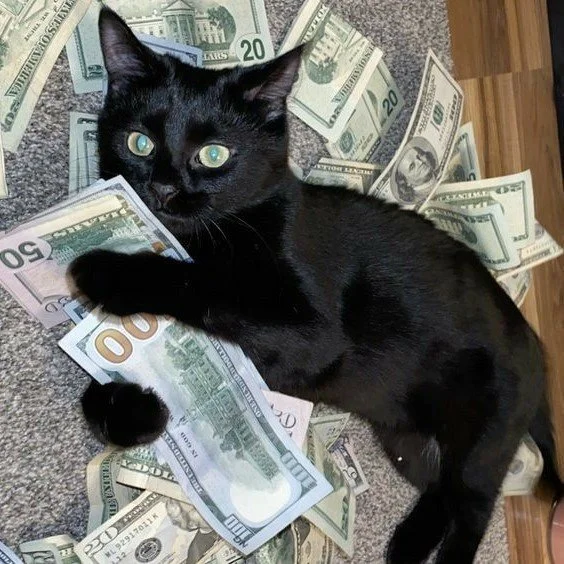 Artist Spotlight: Infinity Knives — Grimalkin Records