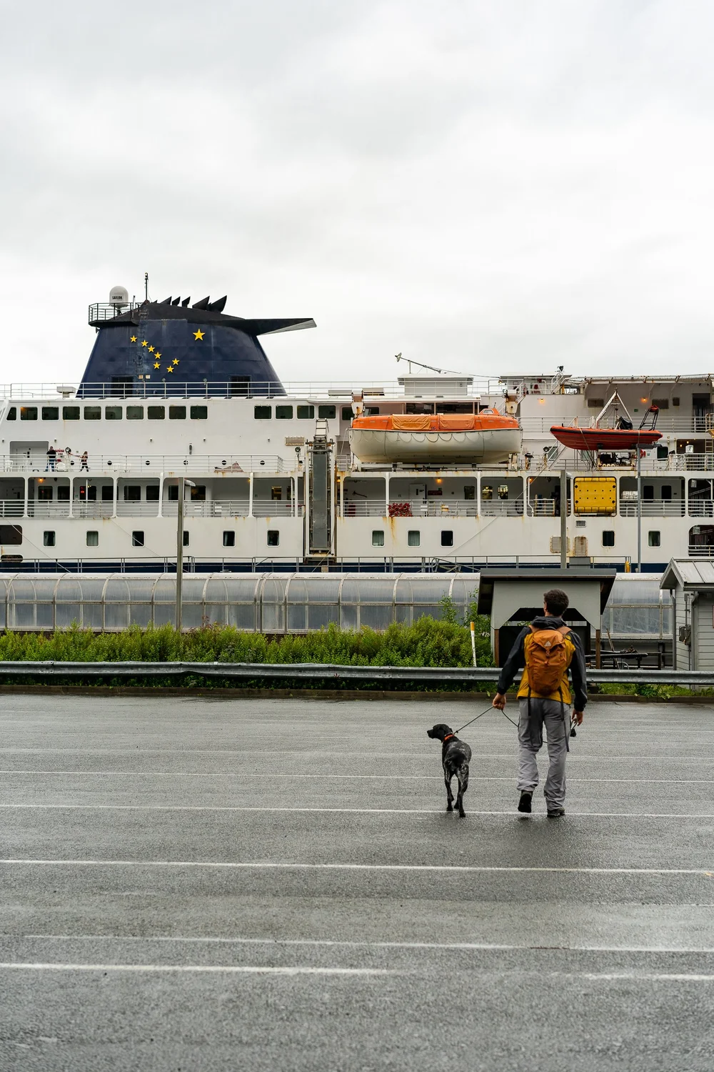 Can You Take Dogs On A Ferry
