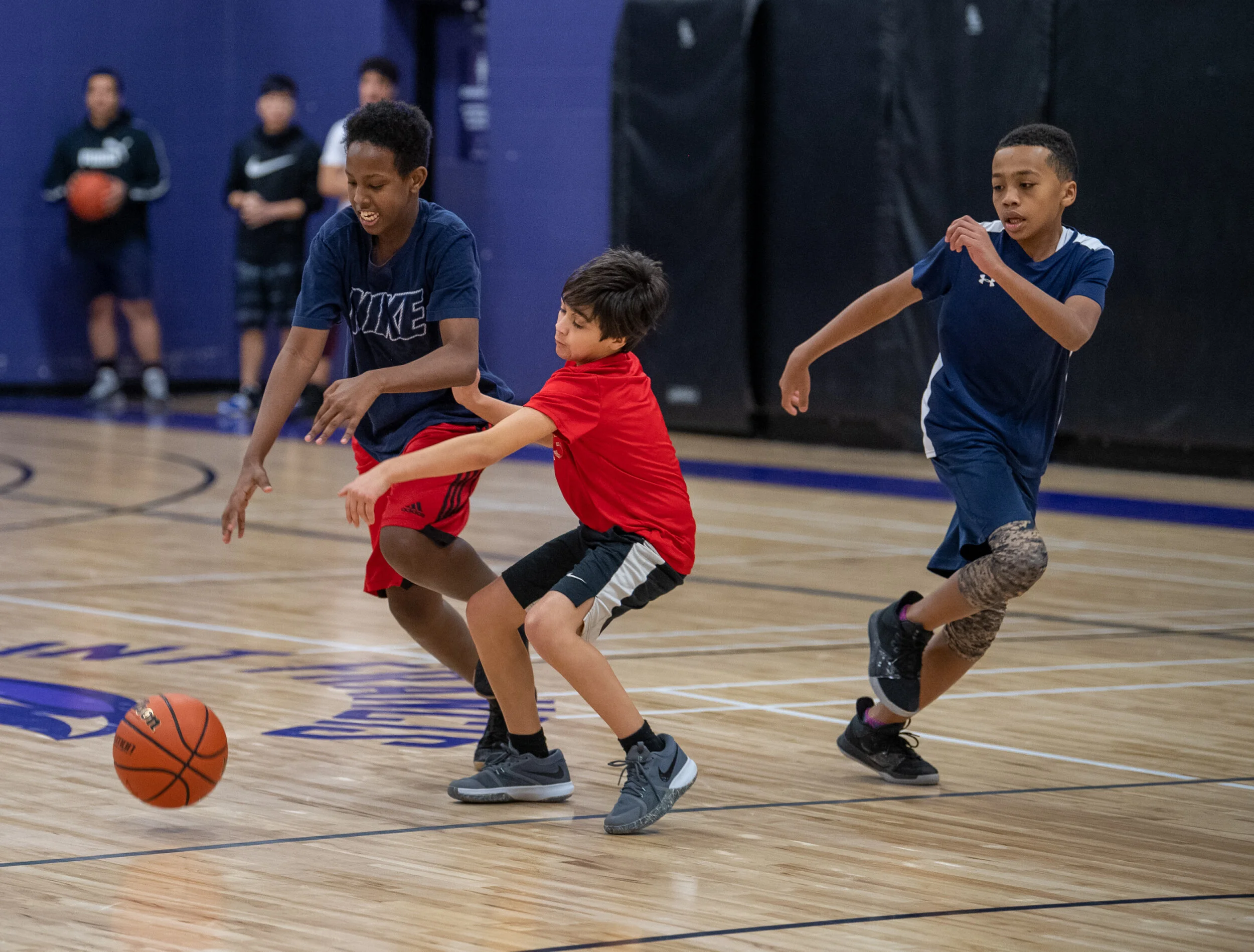 House League — Niagara Apex Basketball