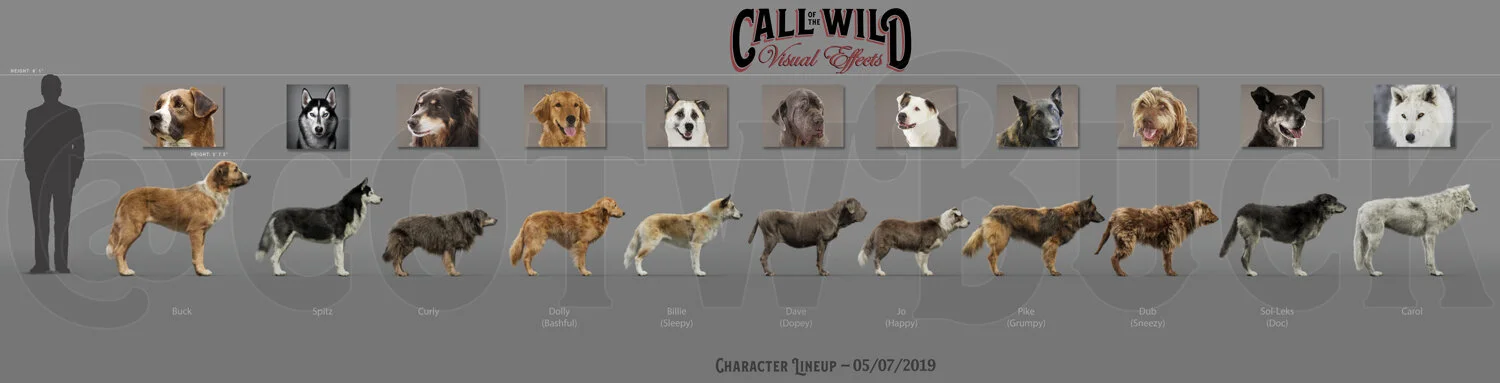 The Film - "The Call of the Wild" — "Call of the Wild" Buck