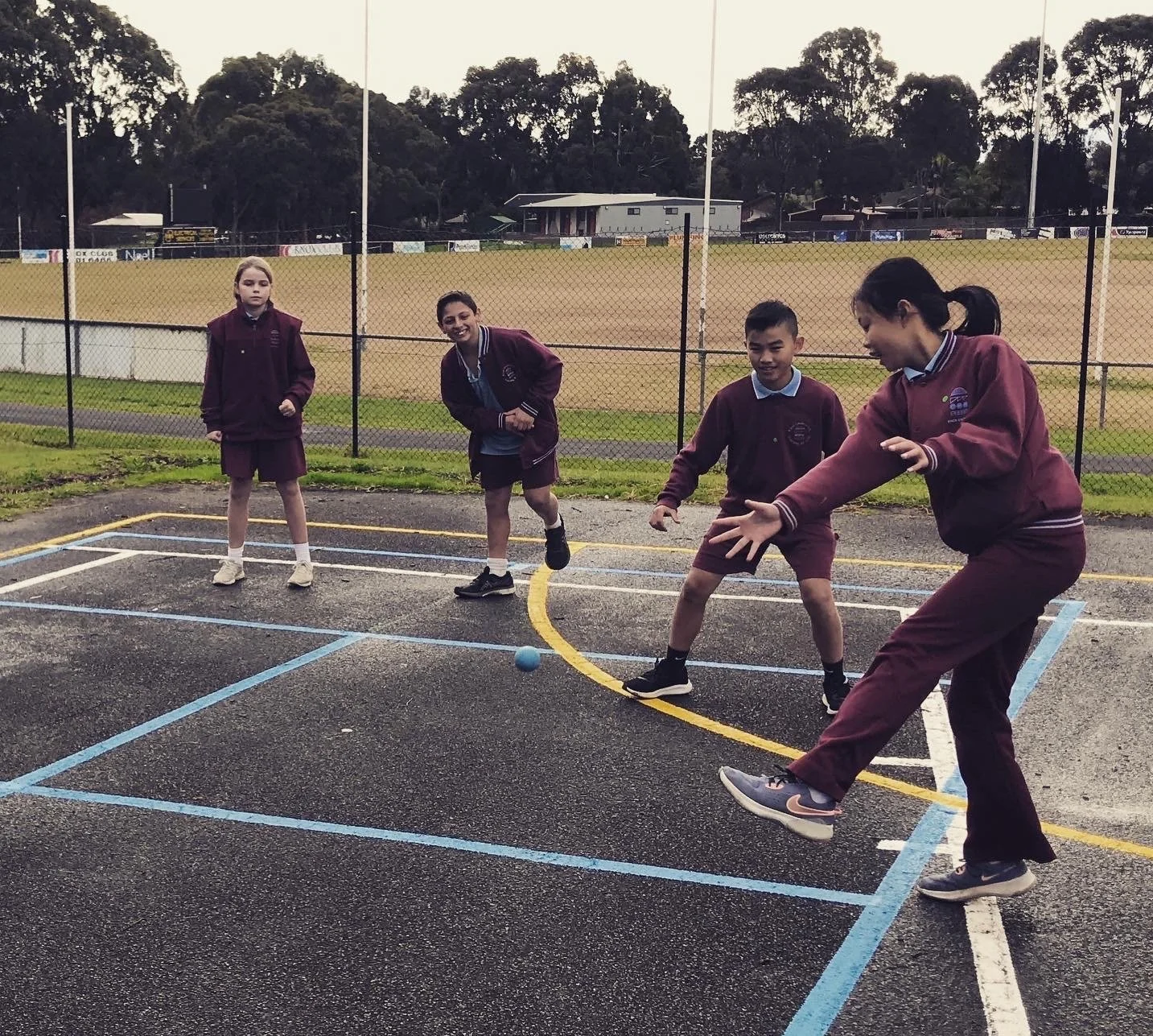 Home - Downball Australia