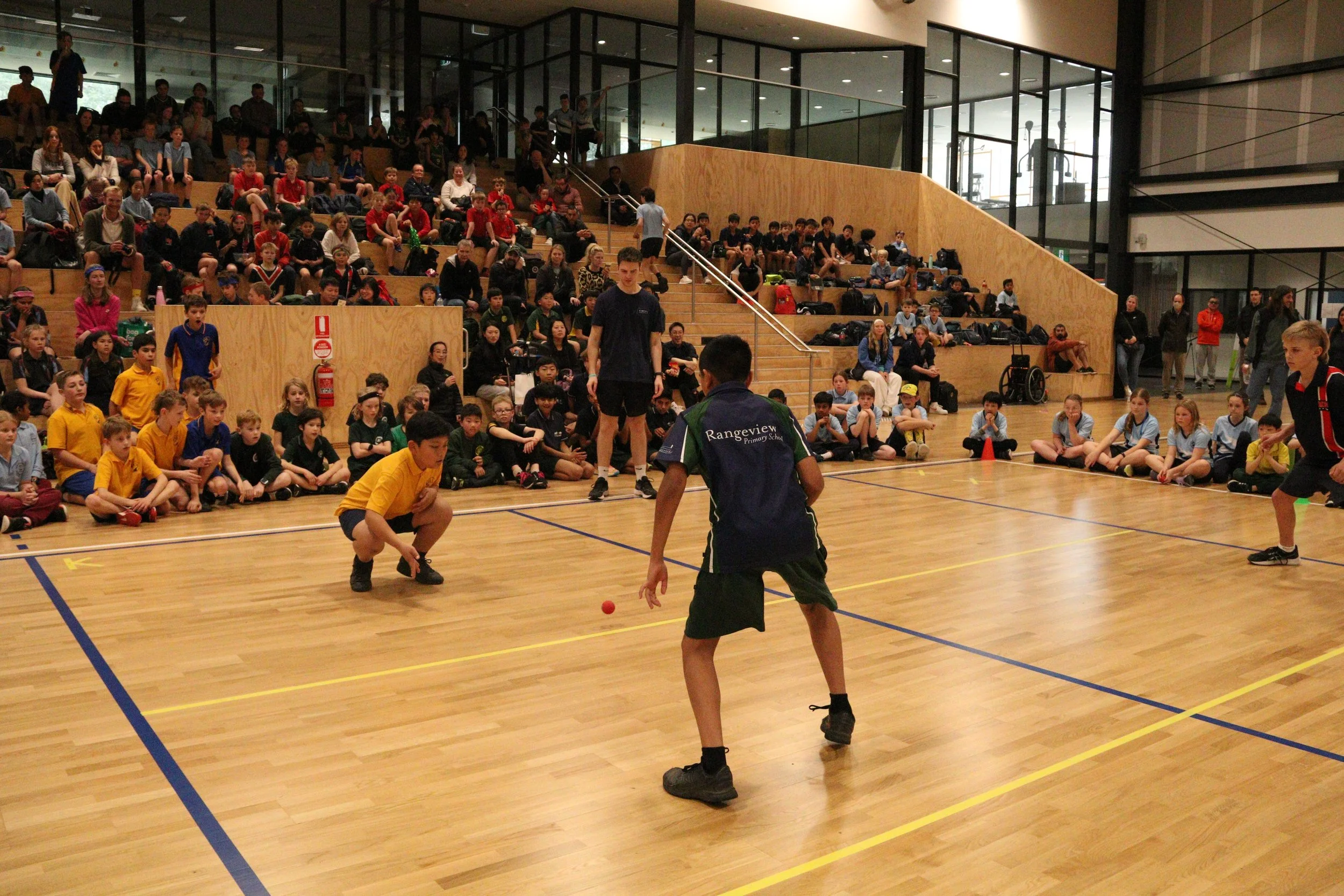 Home - Downball Australia