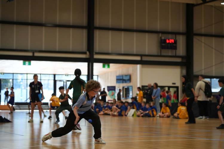 Home - Downball Australia