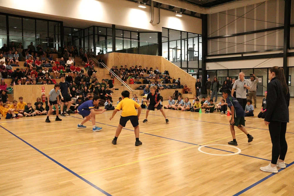 Home - Downball Australia