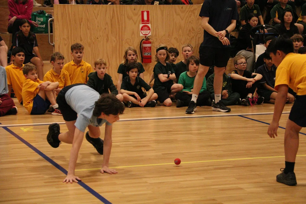 Home - Downball Australia